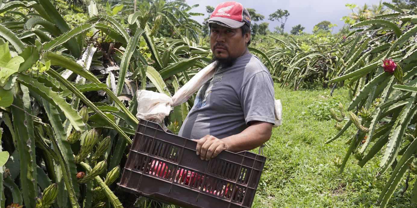 Investment HTF - Sol Organica in Nicaragua