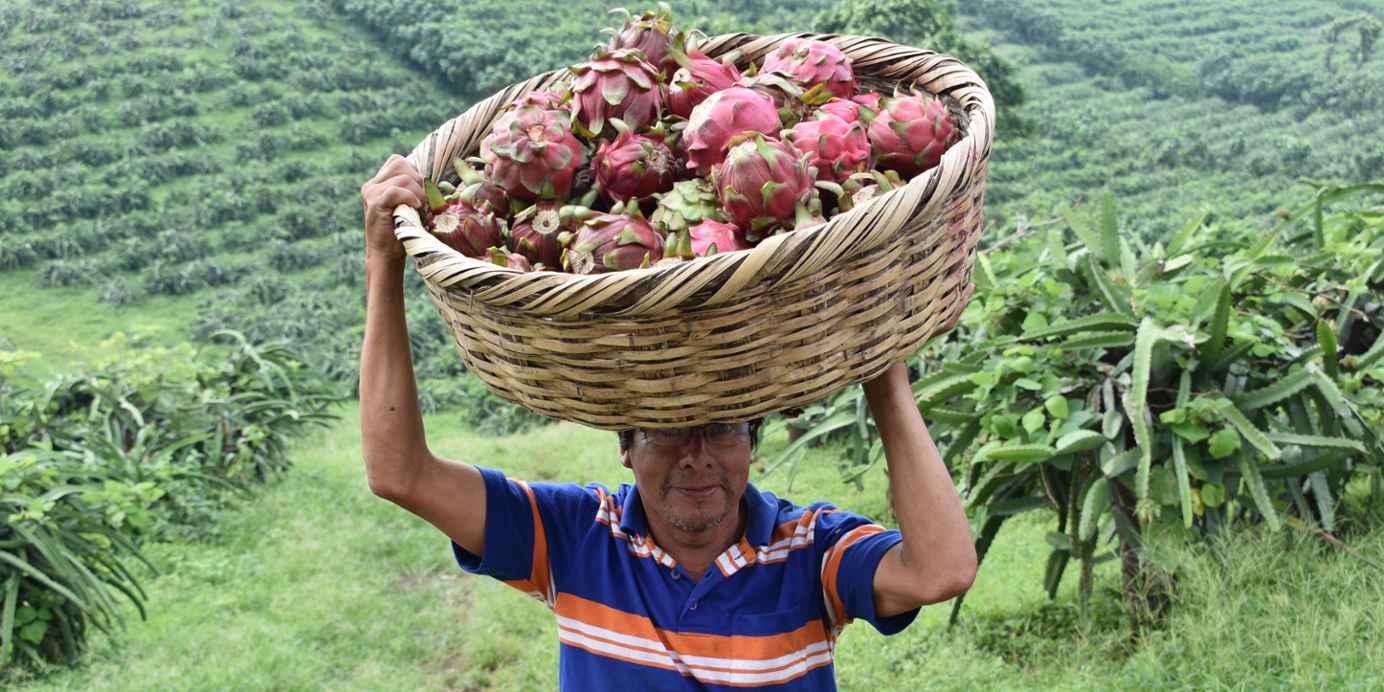 Investment HTF - Sol Organica in Nicaragua