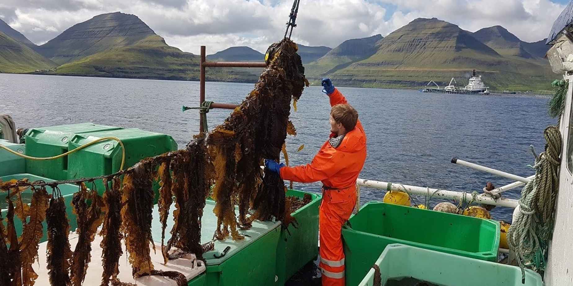 Triodos Food Transition Europe Fund takes equity stake in Ocean Rainforest