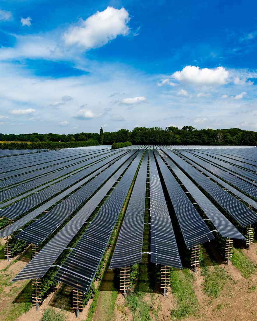 Impact report 2021 | Triodos Investment Management