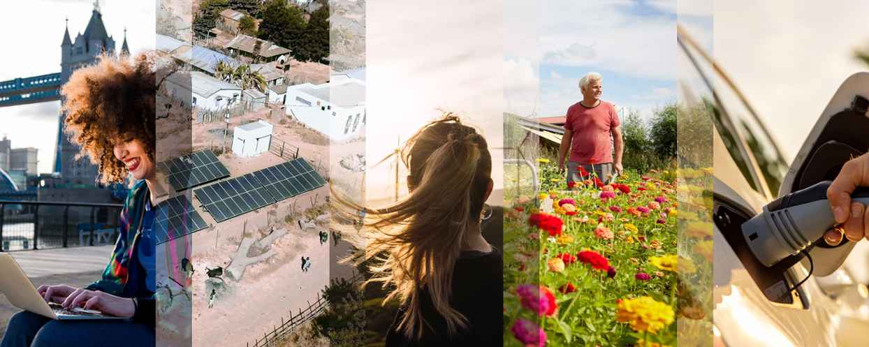 Welcome to Triodos Investment Management