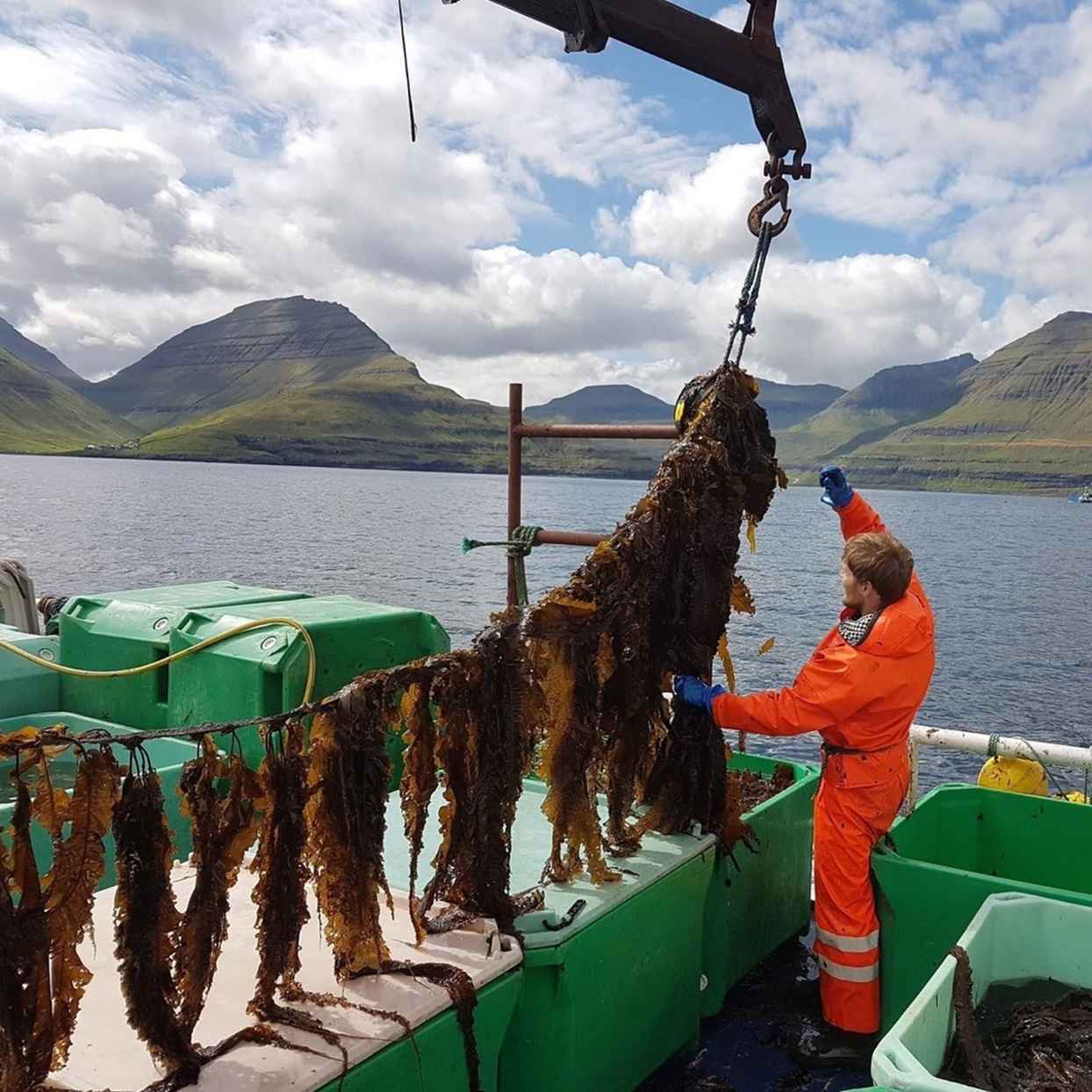 Triodos Food Transition Europe Fund Impact Report 2024