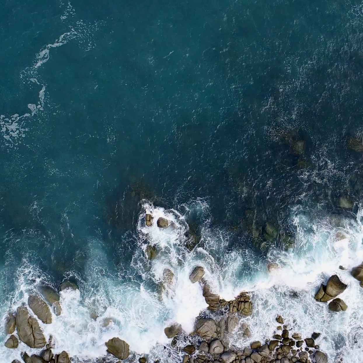 Impact report 2021 | Triodos Investment Management