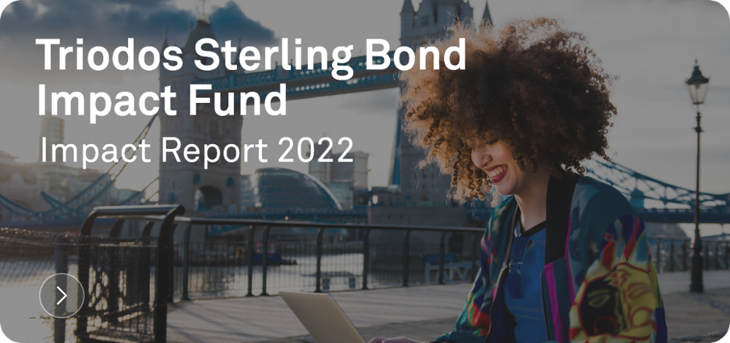 Impact Report 2022 | Looking beyond tomorrow