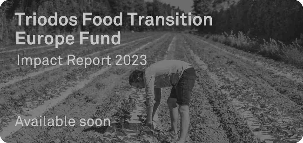 Impact Report 2023 | Our impact is crystal clear