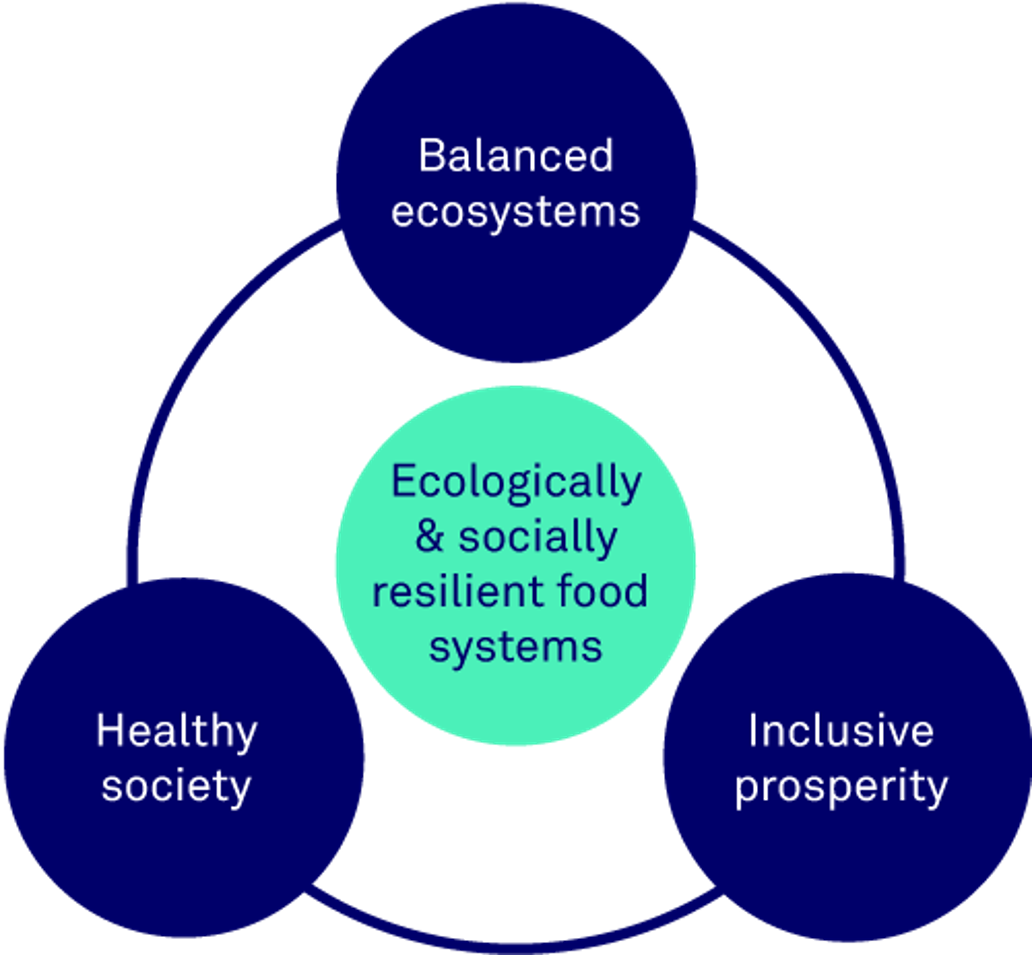 How we invest in sustainable food and agriculture