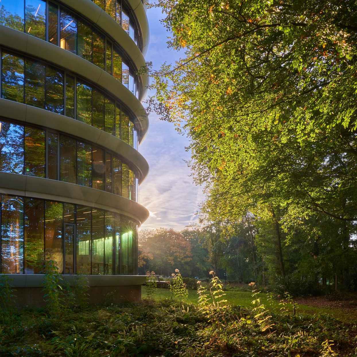 About Triodos Investment Management