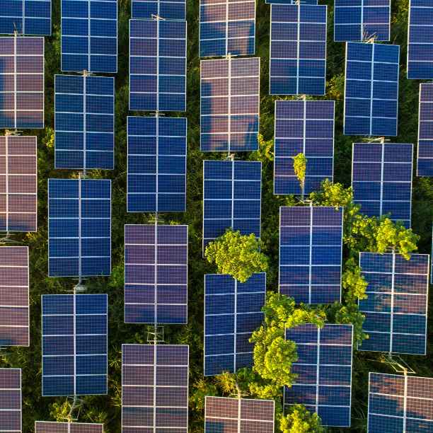 Triodos Microfinance Fund impact report 2018