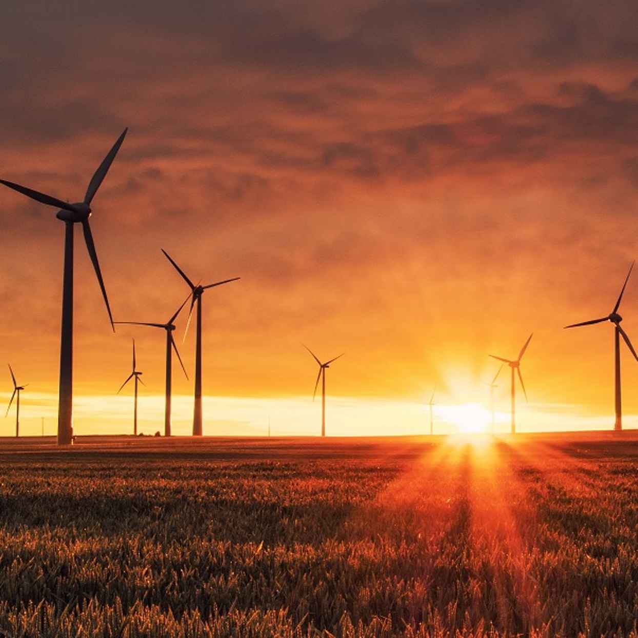 Triodos Bank: IPCC report shows we need to intensify our efforts