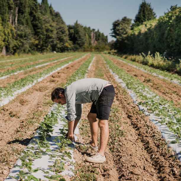 Triodos Food Transition Europe Fund exits HARi&CO