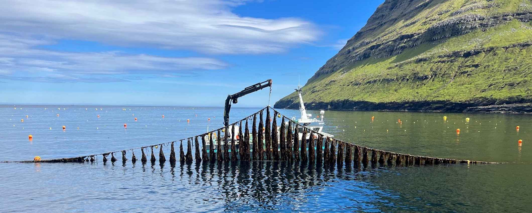 Triodos Food Transition Europe Fund takes equity stake in Ocean Rainforest