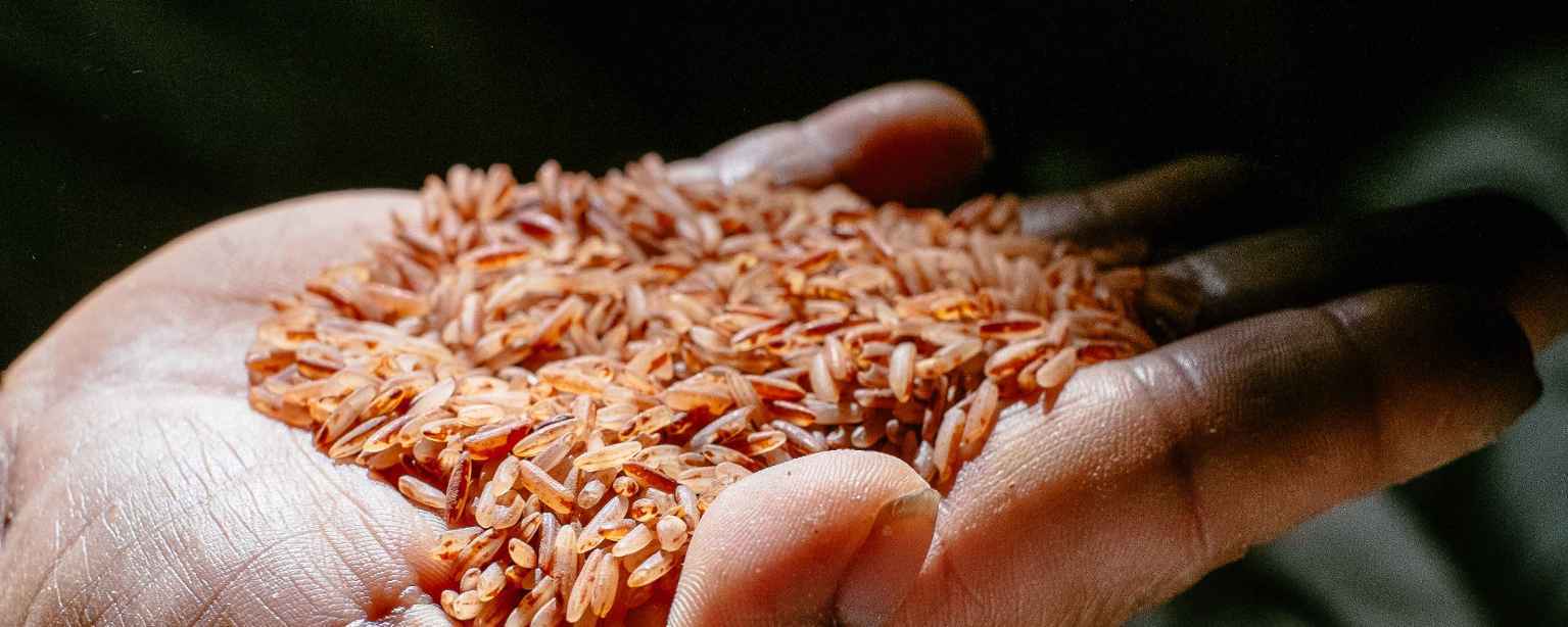 Triodos Food Transition Europe Fund exits DO IT