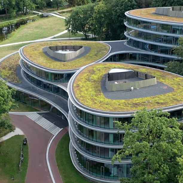 Welcome to Triodos Investment Management