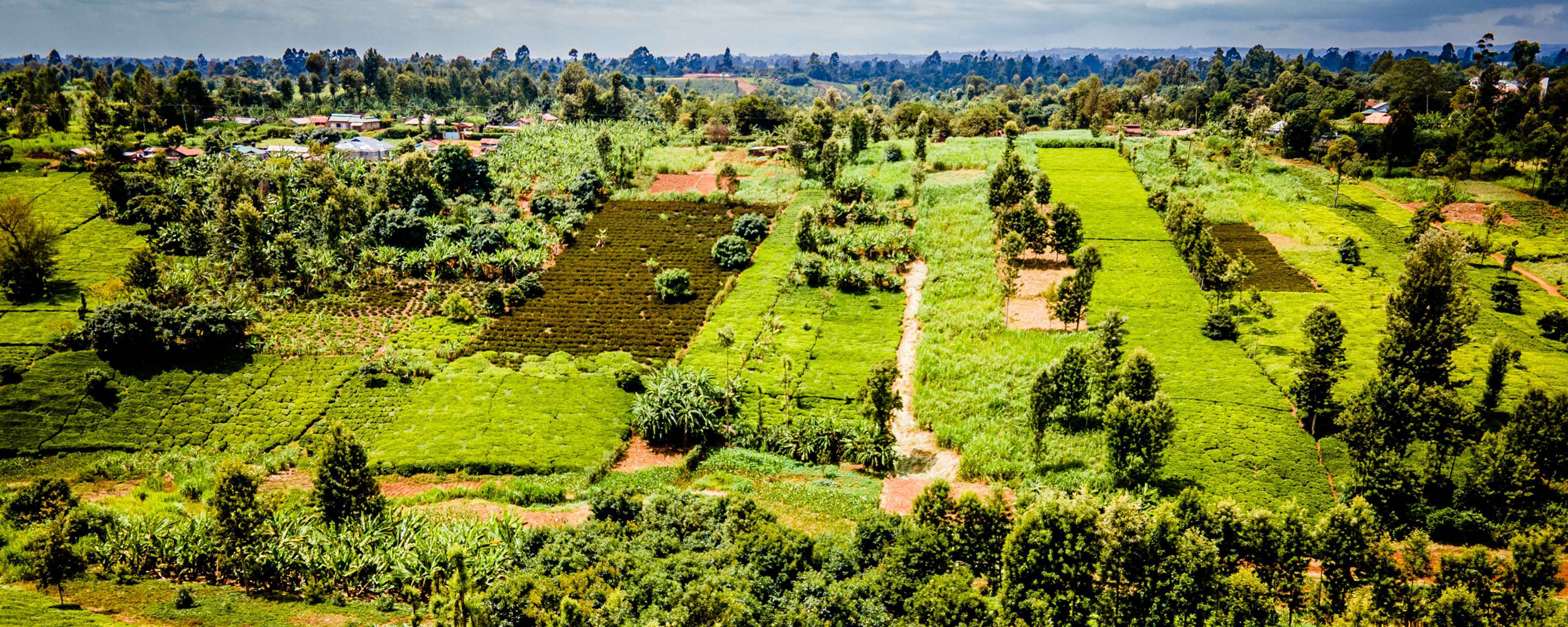 The time for band-aid solutions is over