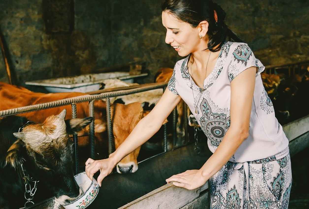 Credo Bank in Georgia: from a credit-only institution to a fully ...