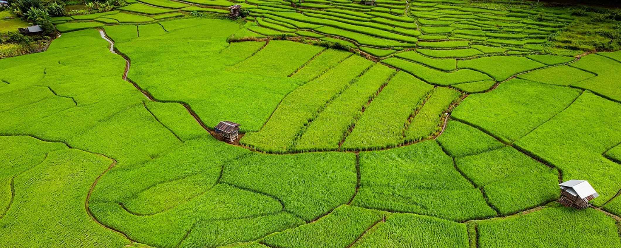 Emerging Markets: Energy shock, not catastrophe