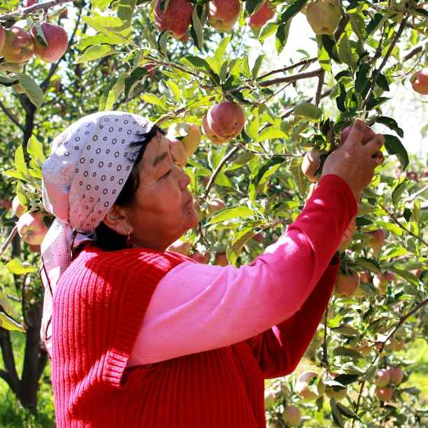 Triodos Microfinance Fund impact report 2018