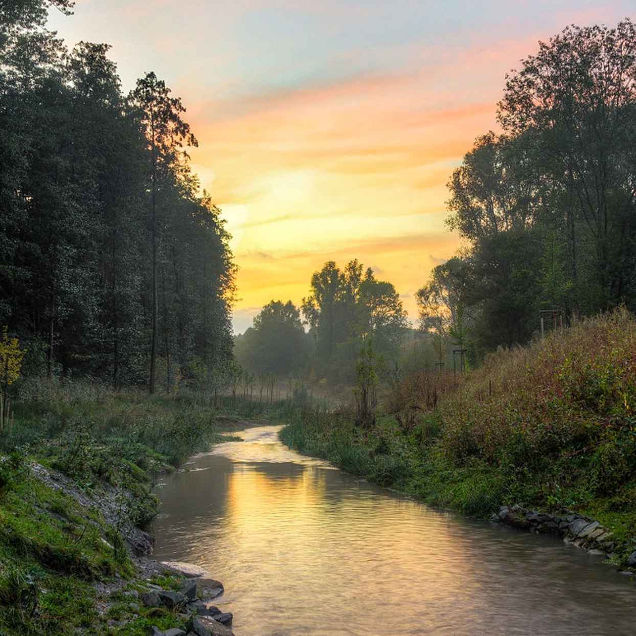 Renaturation of the Emscher river: From open sewer to clean river