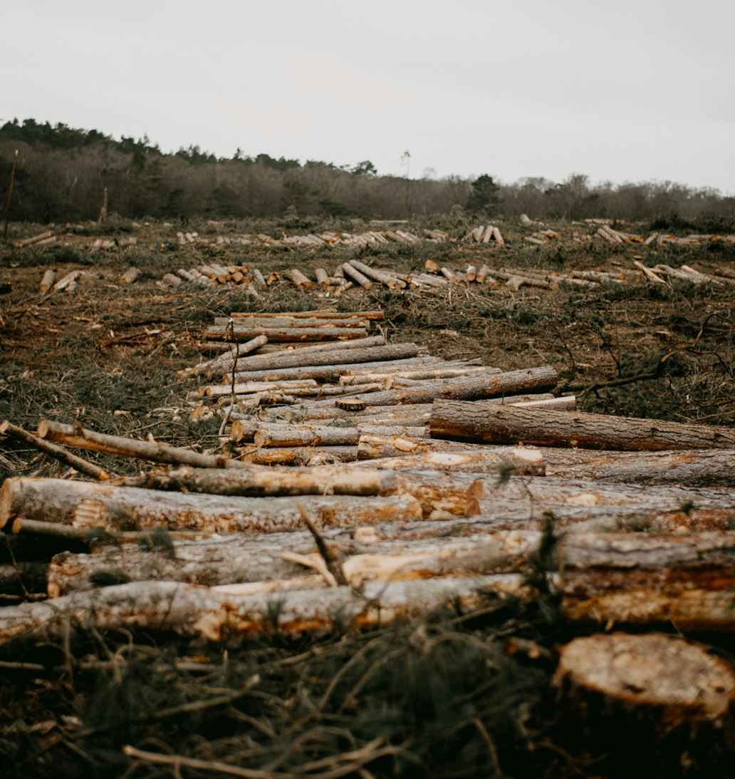 Protecting nature through listed investments